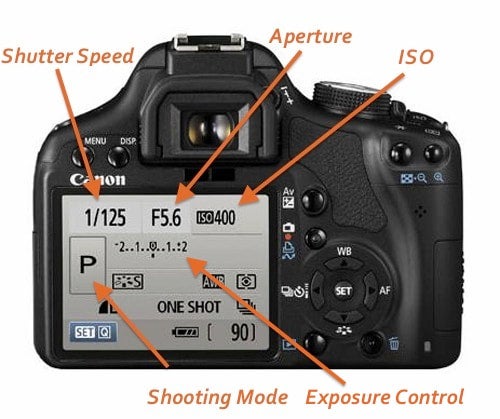 nikon camera diagram